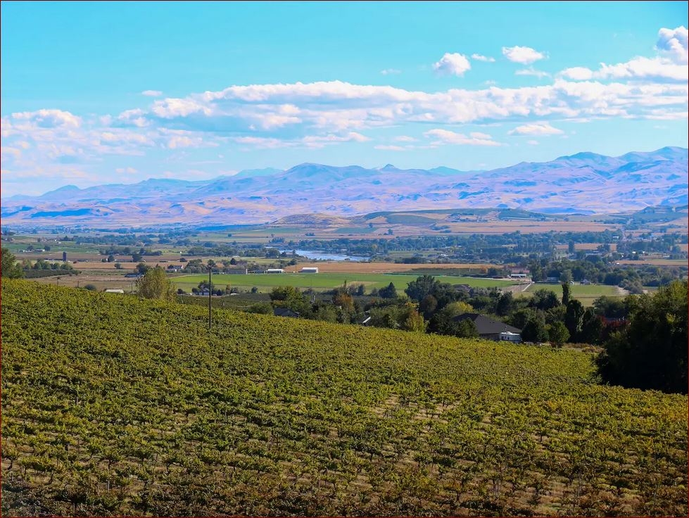 Before there was Trump there was James Michael Curley :: Jeff Jacoby